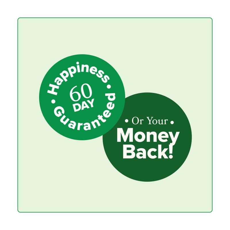 MOTO - Metabolism Boosting Capsule – HyperCare USA